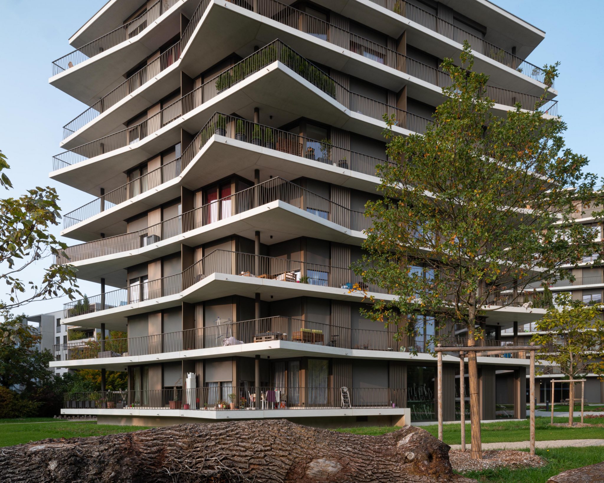 High Density in a Green Environment « Competitions