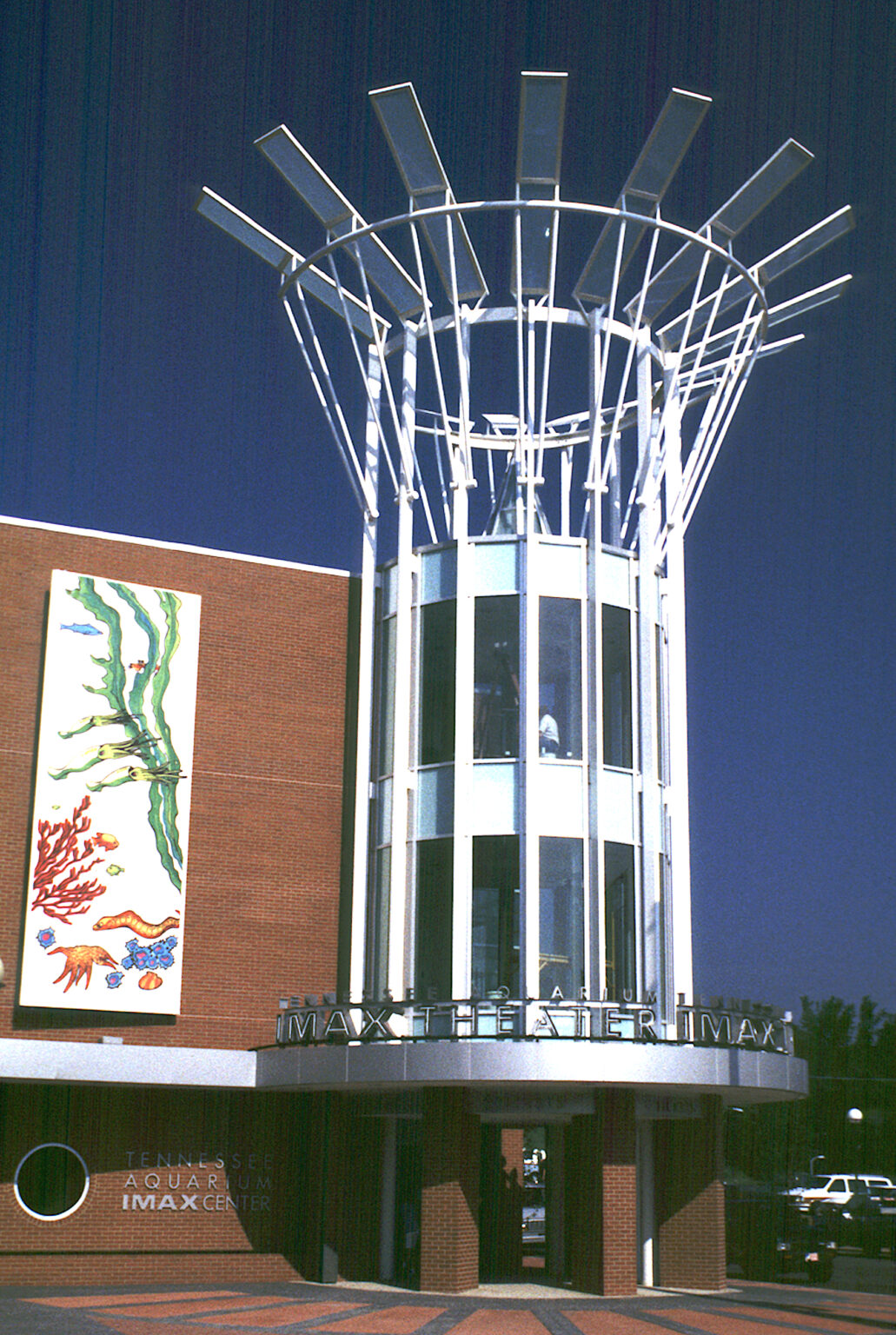 Tennessee Aquarium IMAX Competition « Competitions